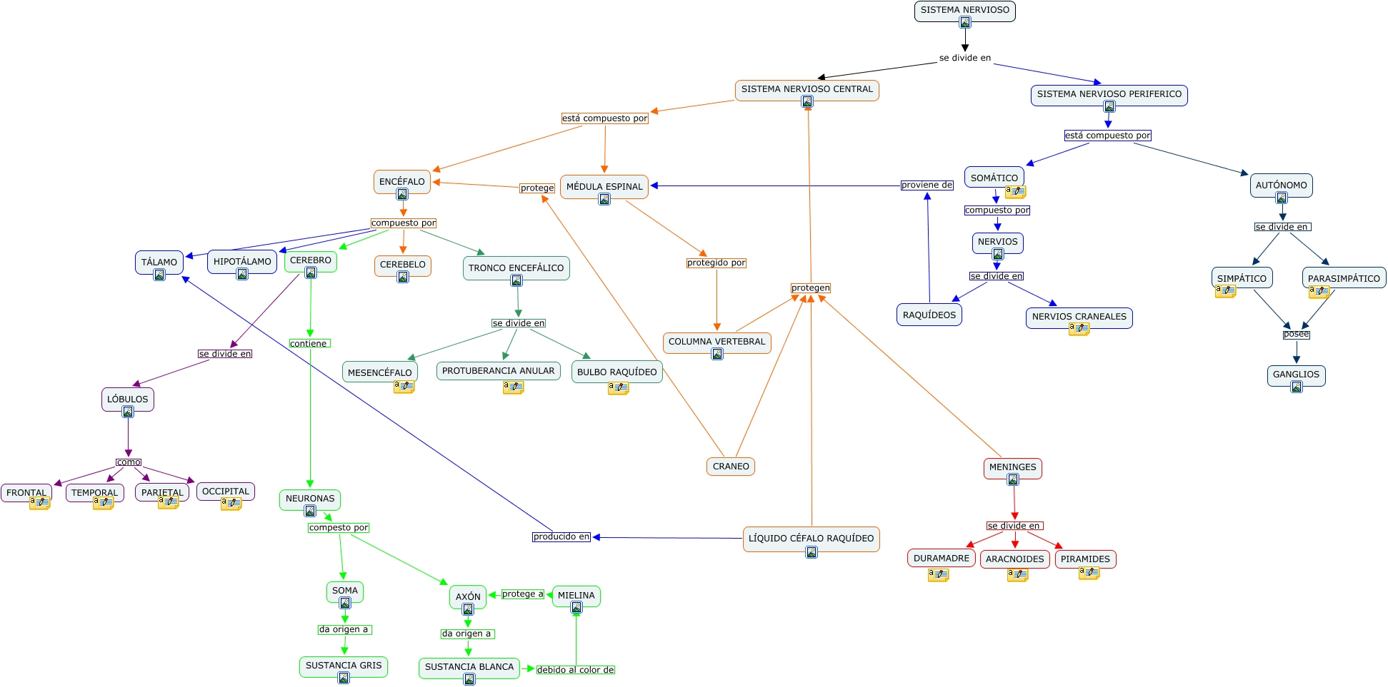 TRABAJO BIOLOGIA BENJAMIN DENK