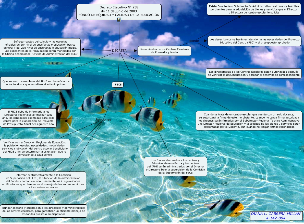 Decreto 238 - FECE