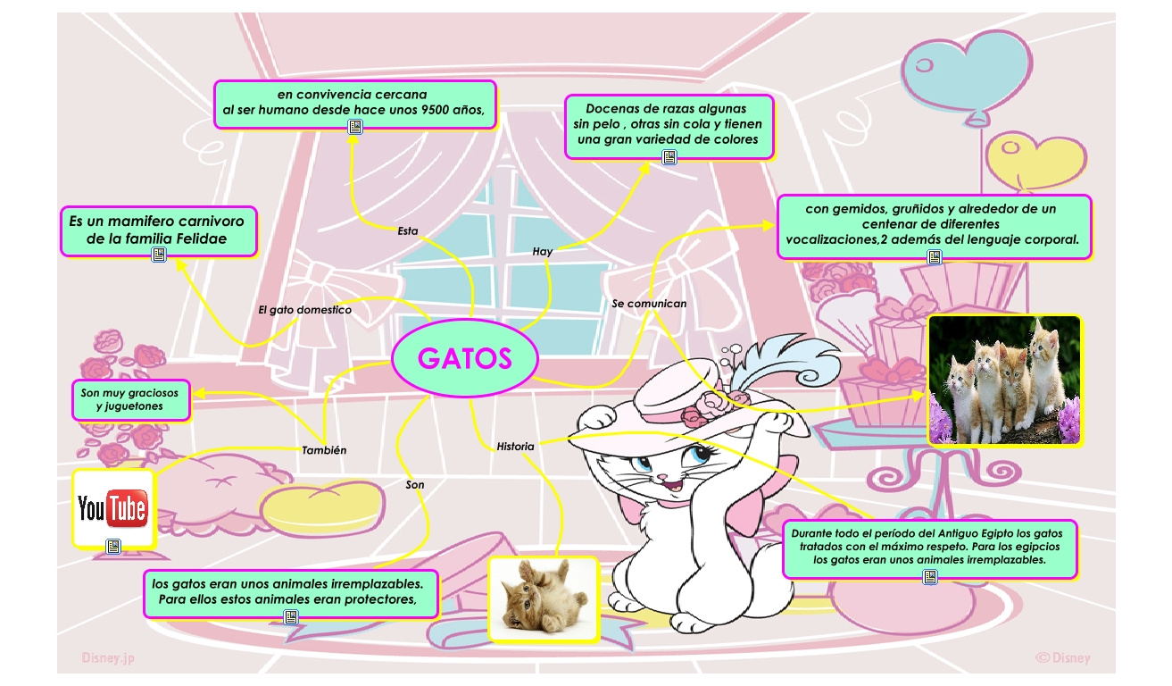 Mapa mental gatos