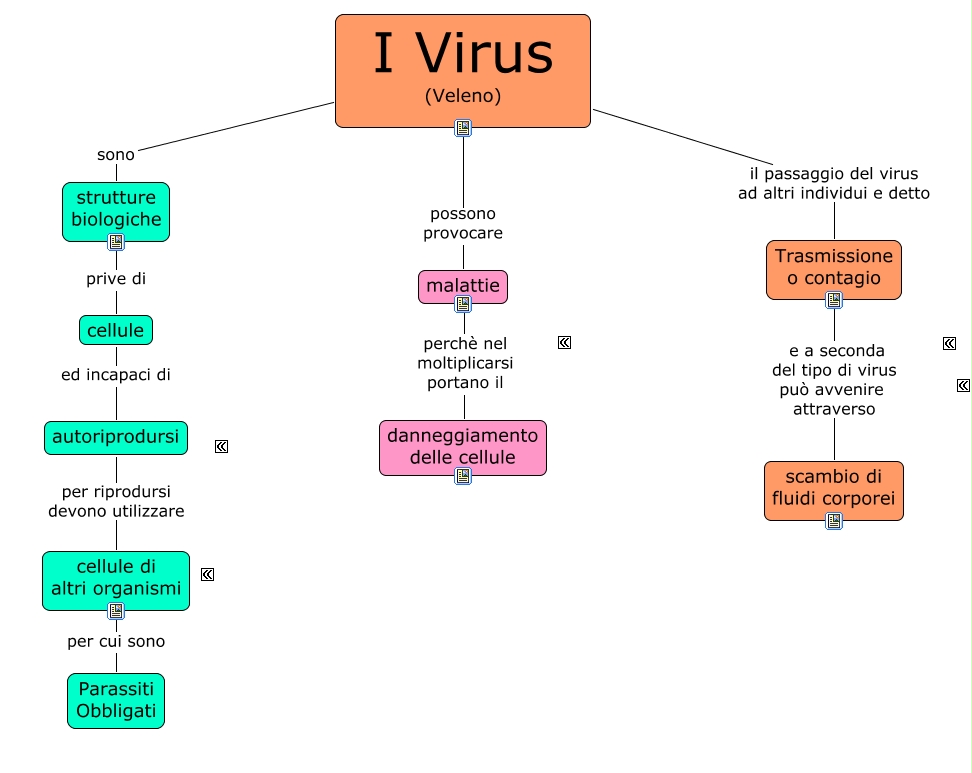 Virus - Mappa Concettuale
