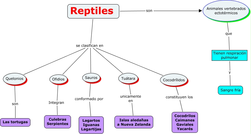 Los reptiles