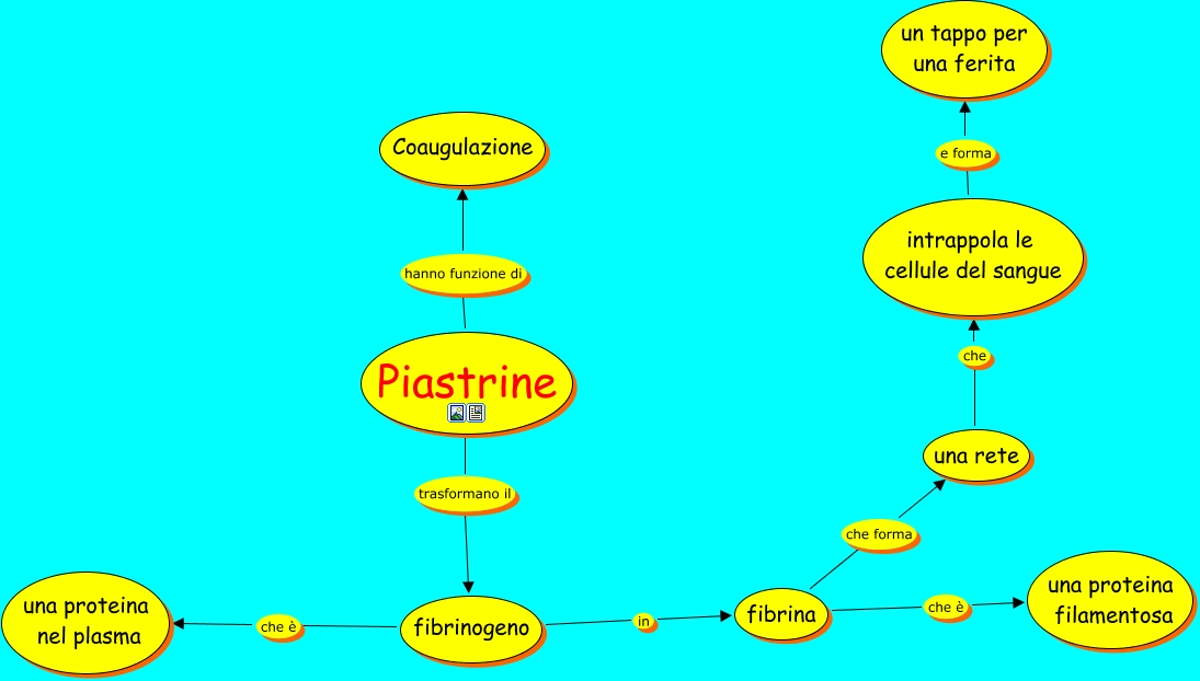 Piastrine