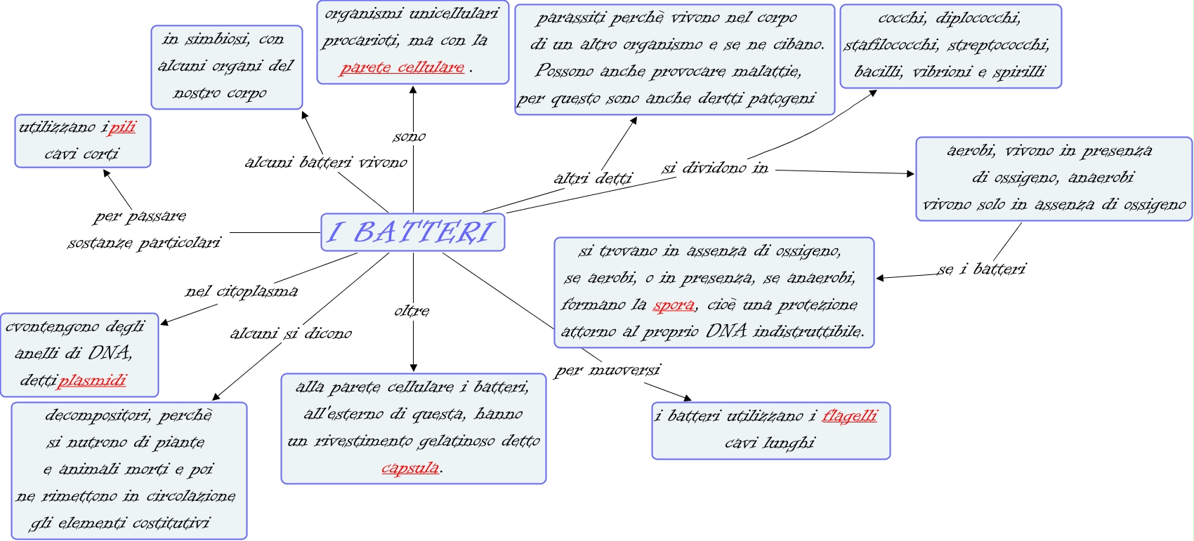 i batteri - Mappa Concettuale