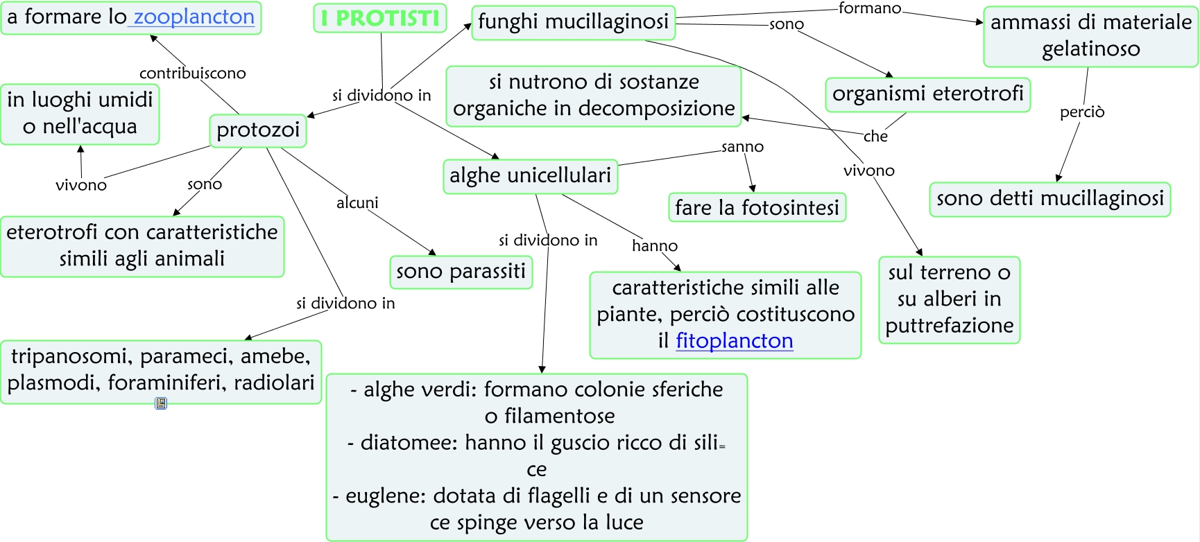 I PROTISTI - Mappa Concettuale