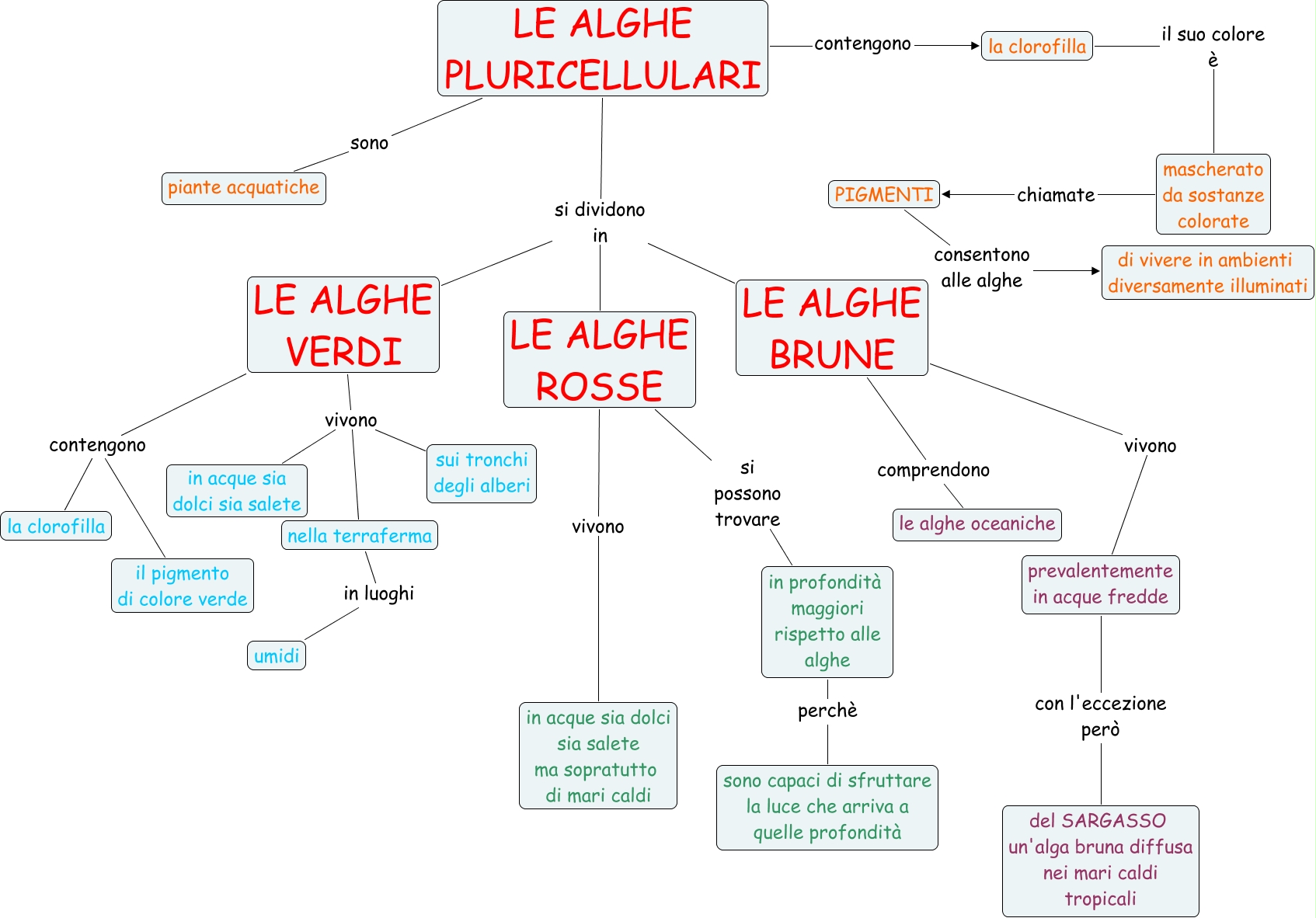 le alghe pluricellulari