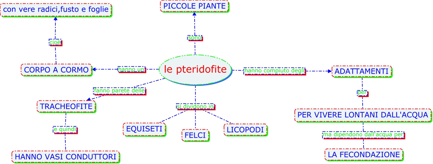 LE PTERIDOFITE
