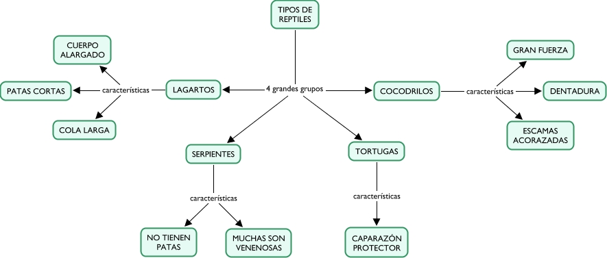 Tipos de reptiles