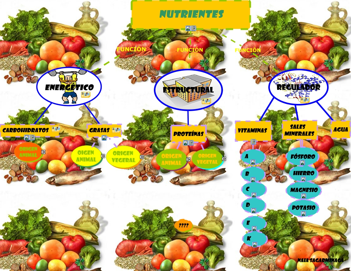 NUTRIENTES