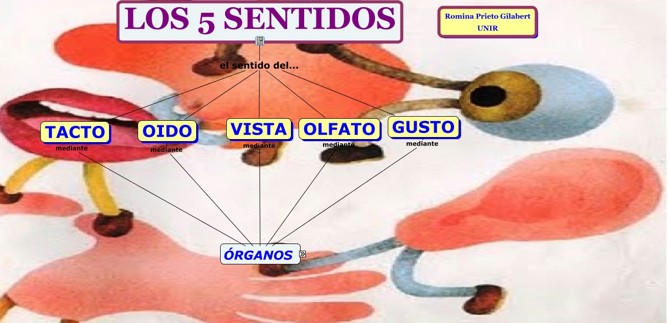 MAPA LOS 5 SENTIDOS