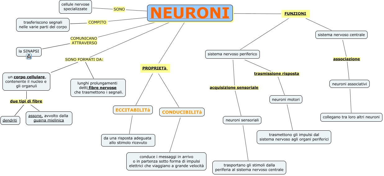 neuroni