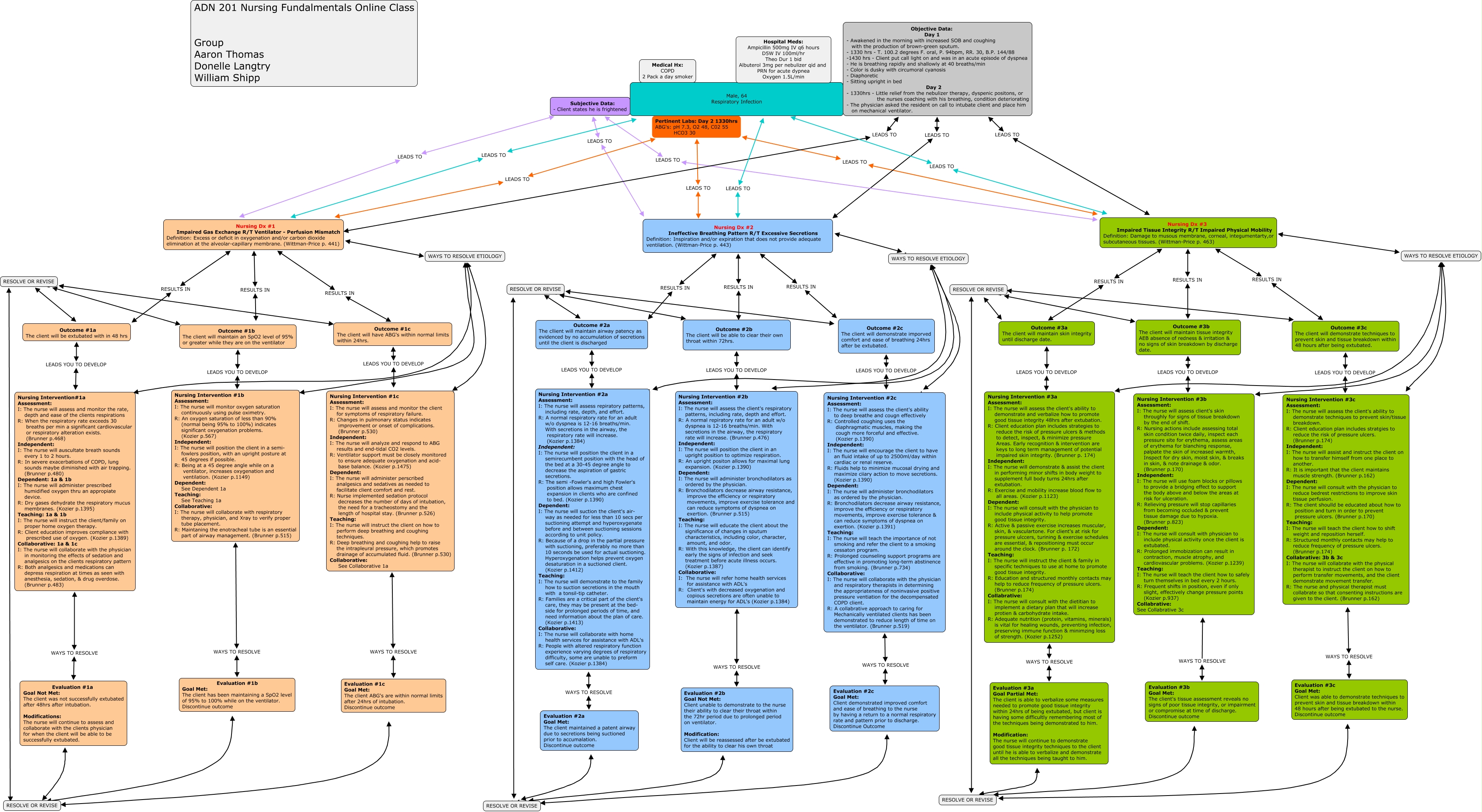 ADN201 Nursing Process Group Project 2