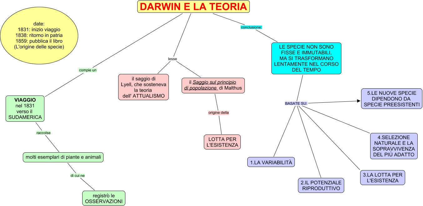 DARWIN E LA TEORIA