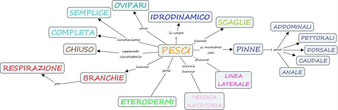 pesci