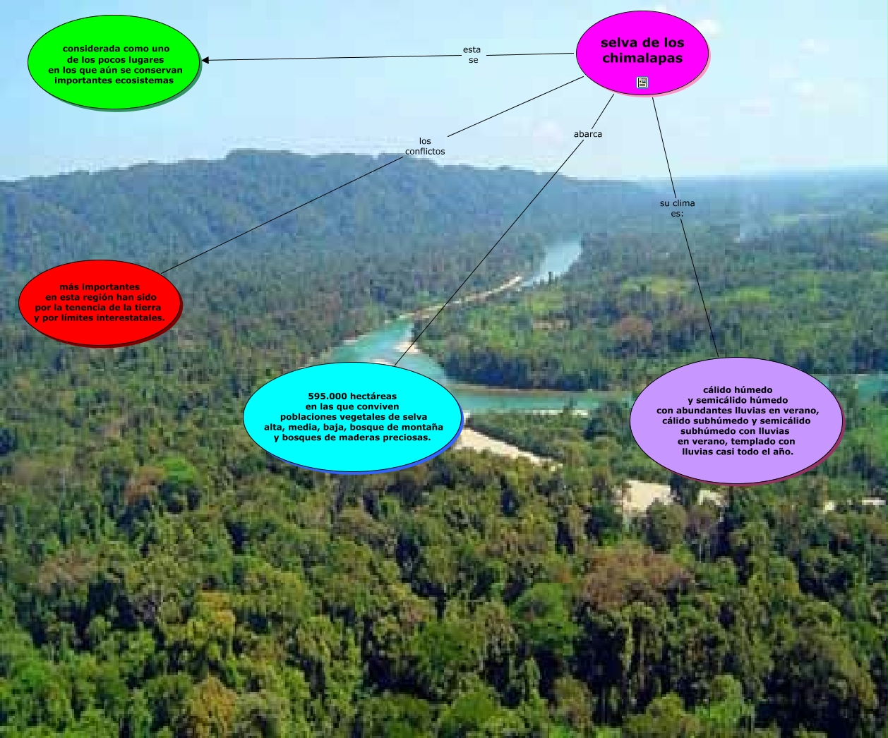 la selva de los chimalapas elsa