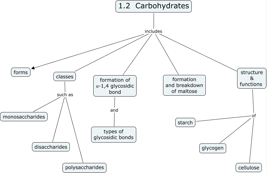 carbohydrates_syllabus