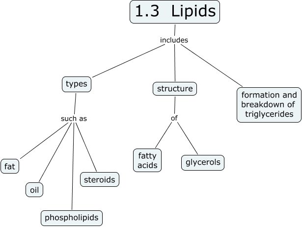 lipids syllabus
