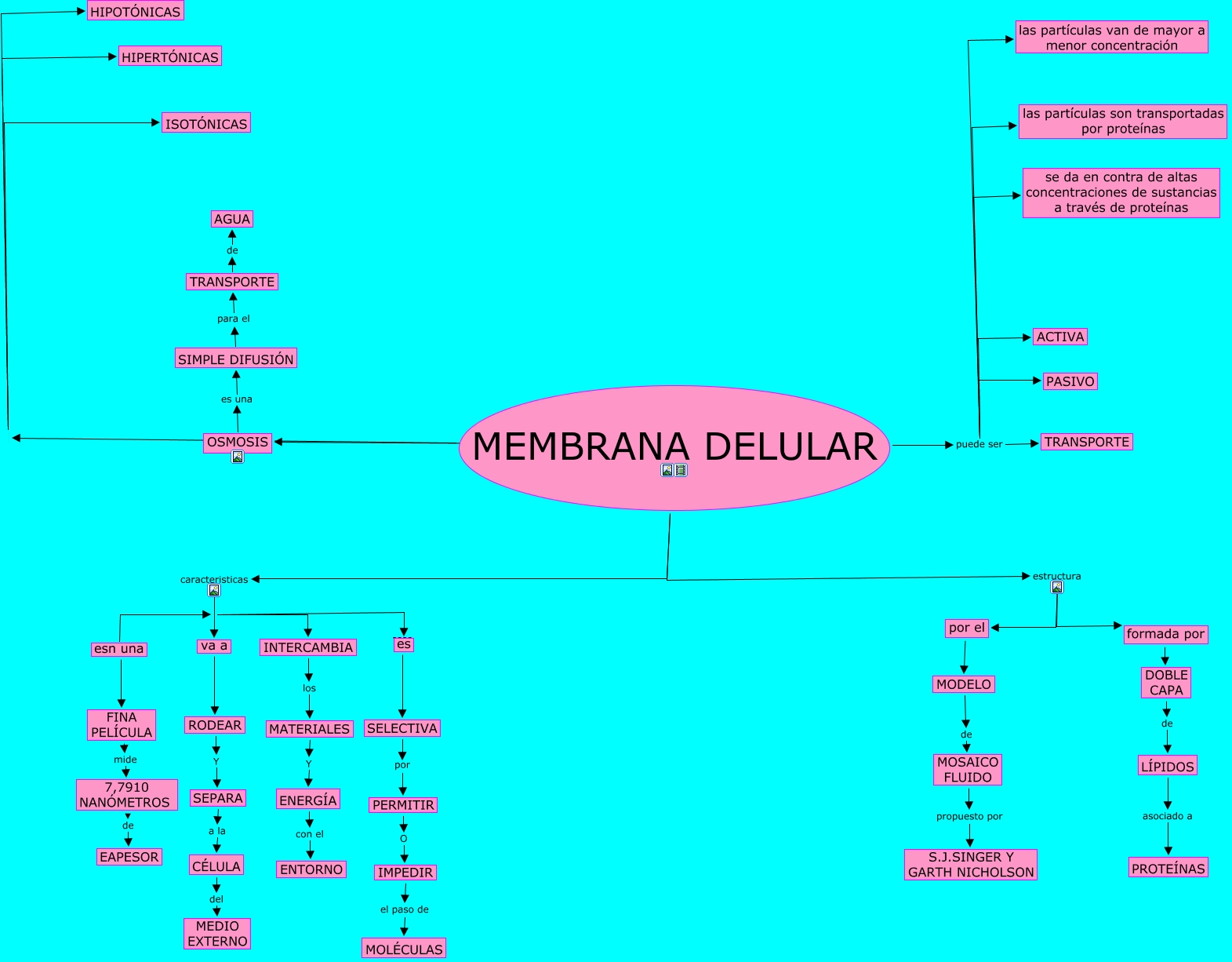 MEMBRANA CELULAR