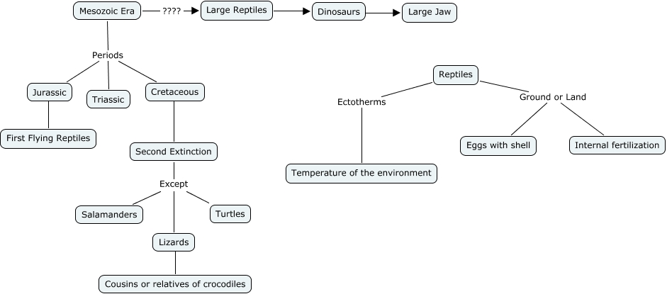 reptiles - tommy