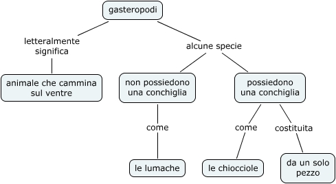 gasteropodi