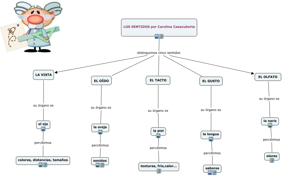Mapa Conceptual De Los 5 Sentidos - book-jb1r