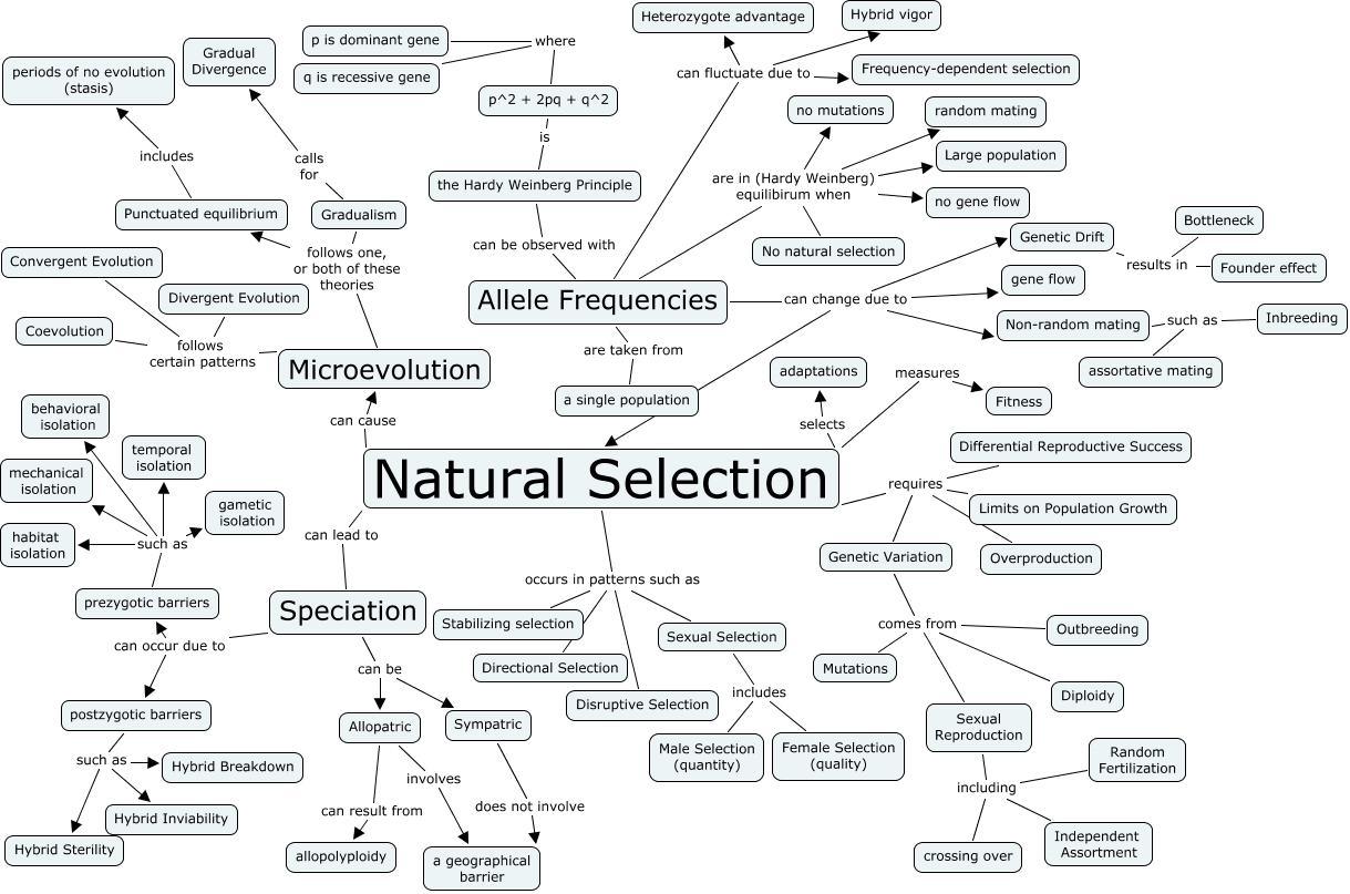 Natural Selection