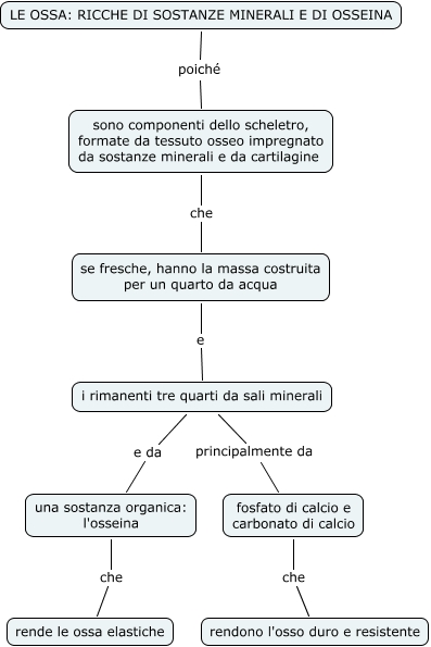 LE OSSA SONO RICCHE DI SOSTANZE MINERALI E DI OSSEINA