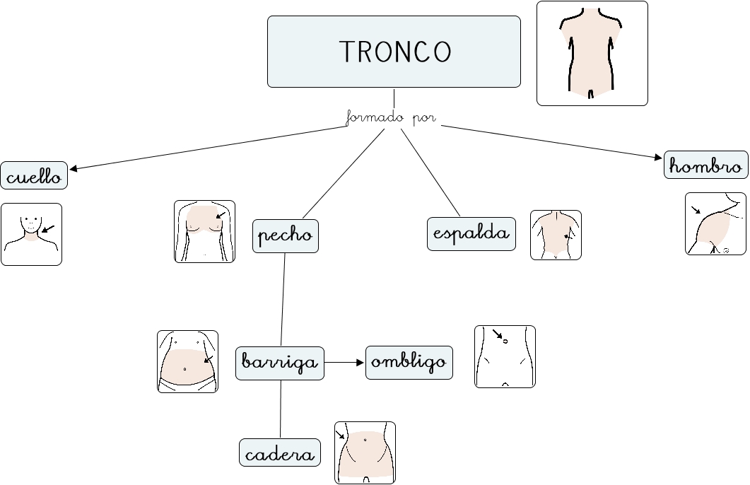 tronco