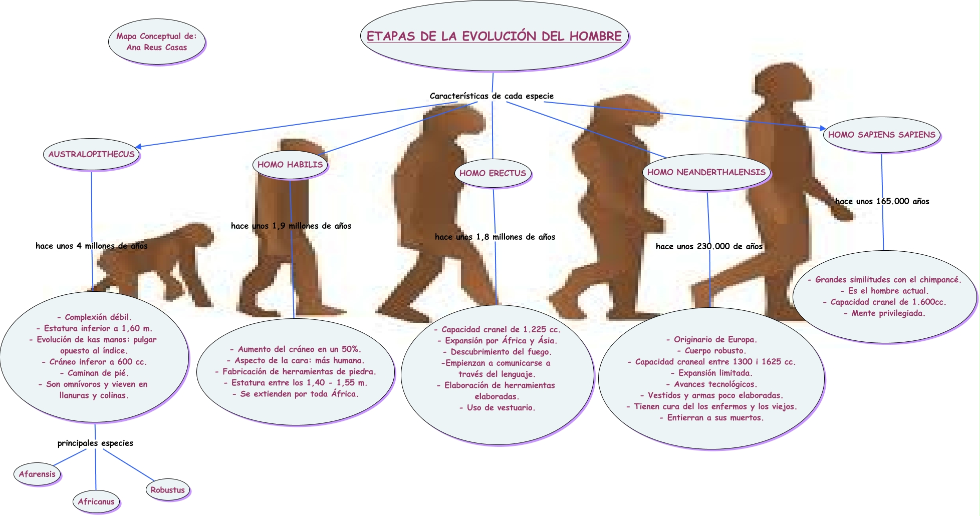 LA EVOLUCIÓN DEL HOMBRE - ¿Cómo ha evolucionado el hombre?