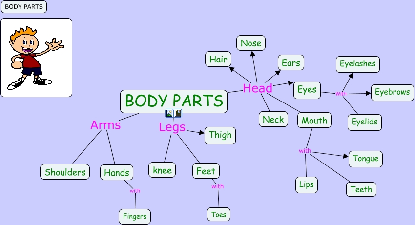 BODYPARTS