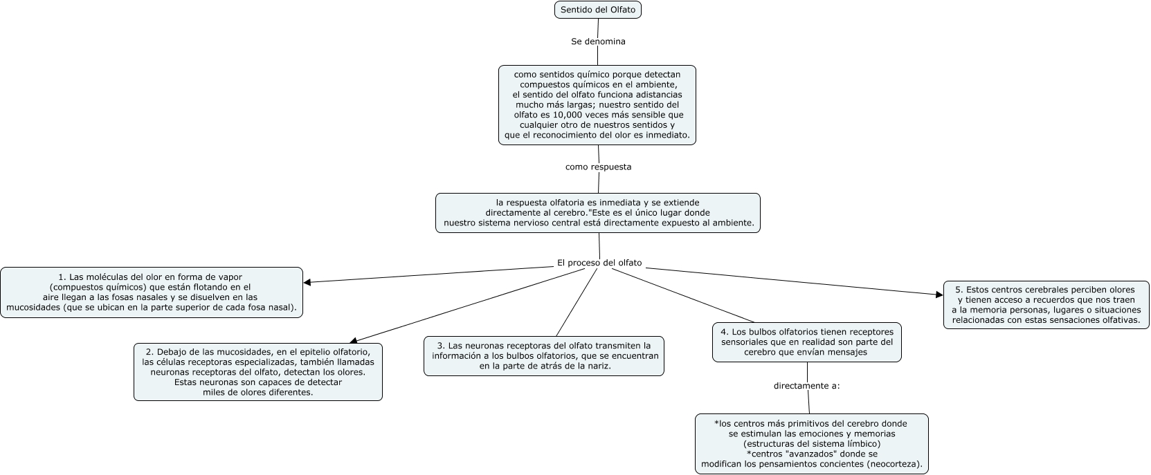 Sentido del Olfato - procesos del olfato