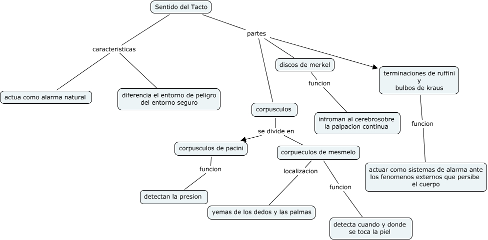 Sentido del Tacto