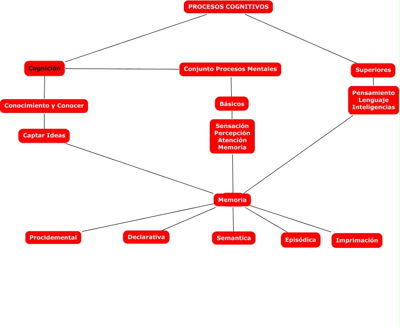 Procesos Cognitivos