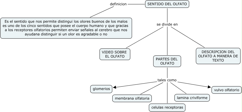 sentido del olfato - que es el sentido del olfato