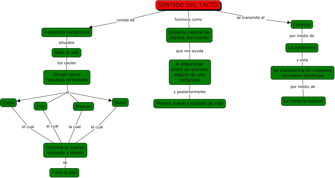 Sentido el tacto - En que consiste