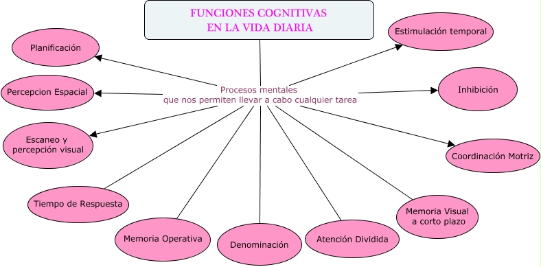 mapa 4 video Funciones Cognitivas