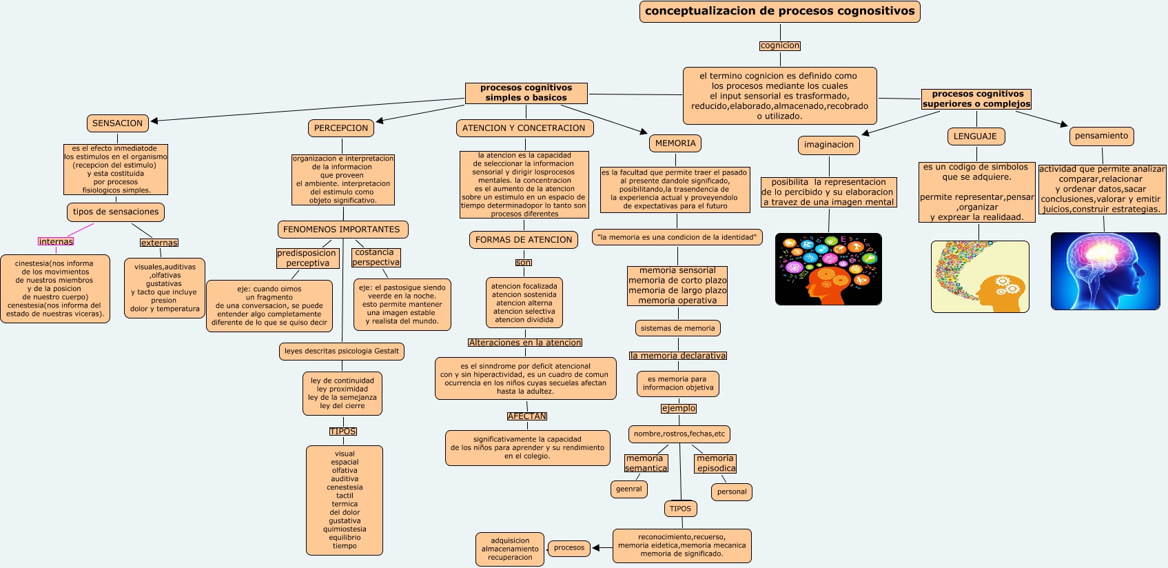 conceptualizacion de procesos cognositivos - conceptualizacion procesos ...