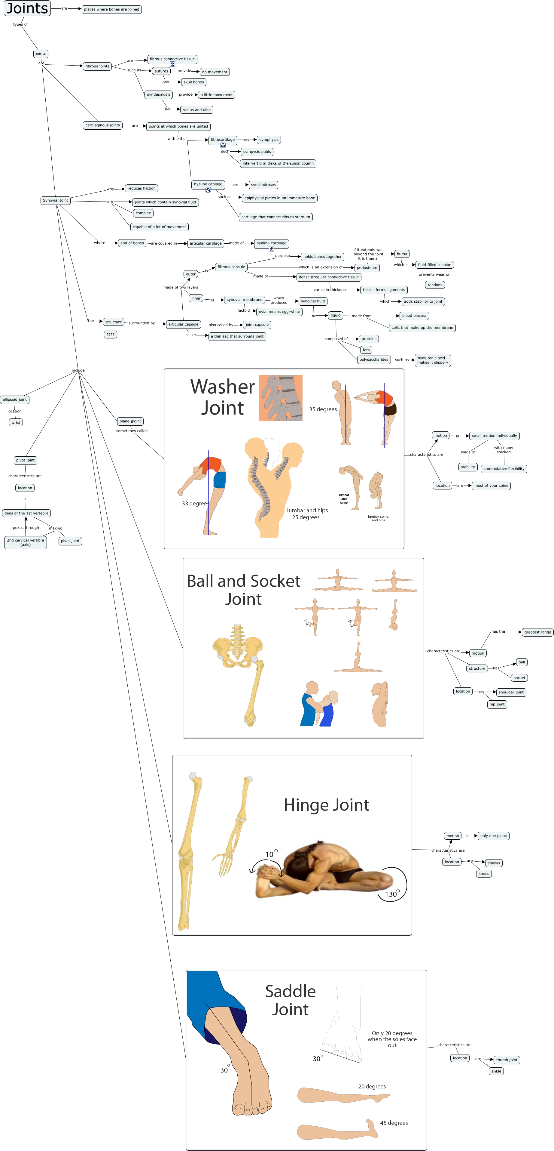 01_05_Joints - How do joints work?