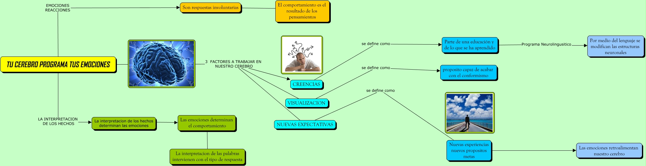 tu cerebro programa tus emociones
