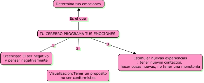 tu cerebro programa tus emociones 3