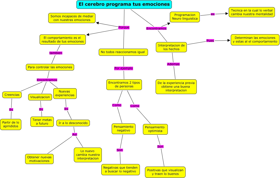El cerebro programa tus emociones