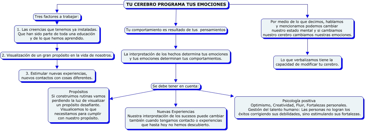 Tu cerebro programa tus emociones