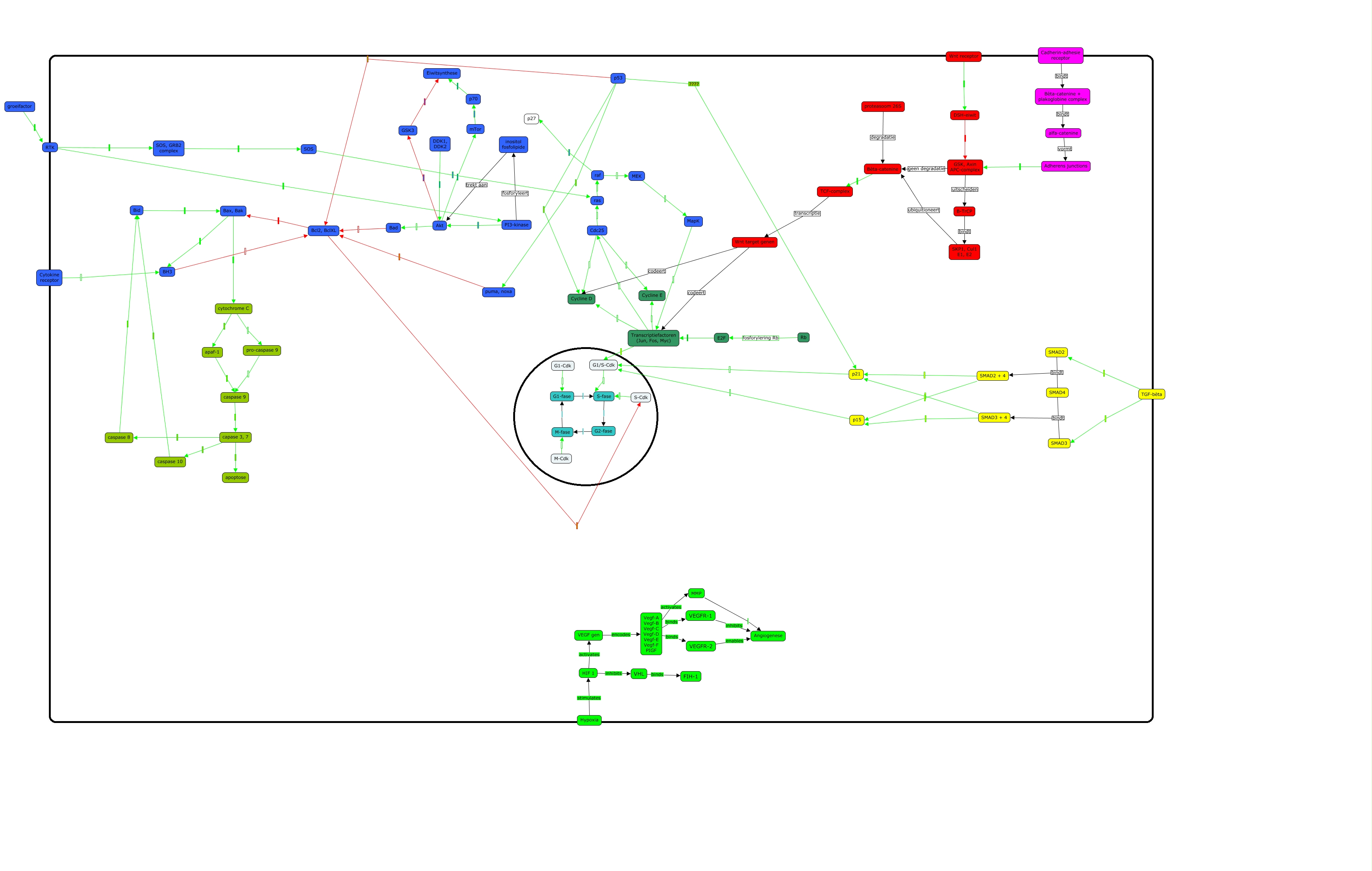 Cmap definitieve versie