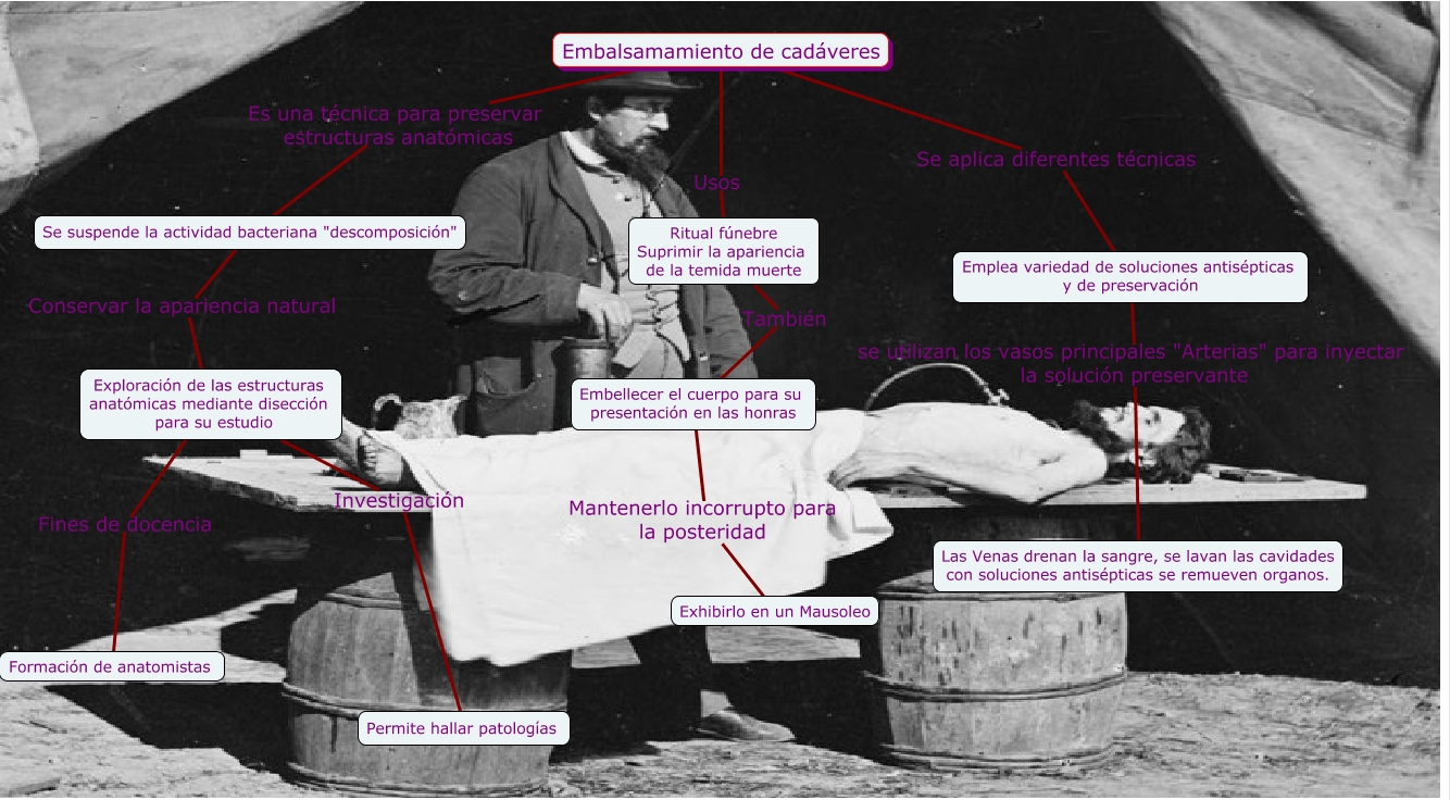 embalsamamiento de cadaveres