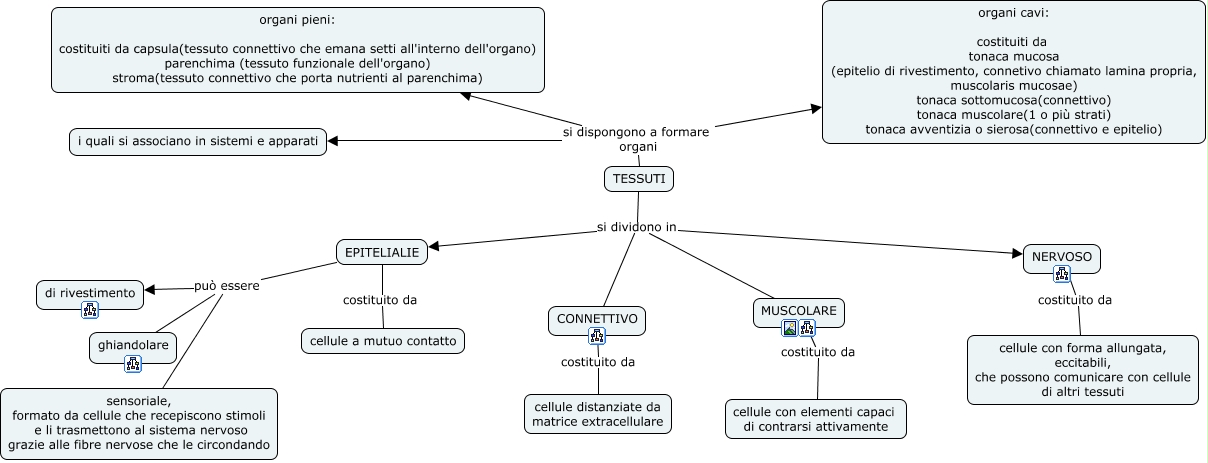 TESSUTI