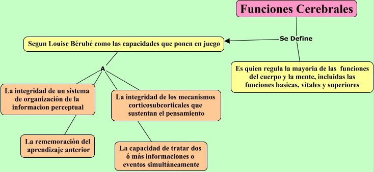 Neuropasicología - Funciones Cerebrales