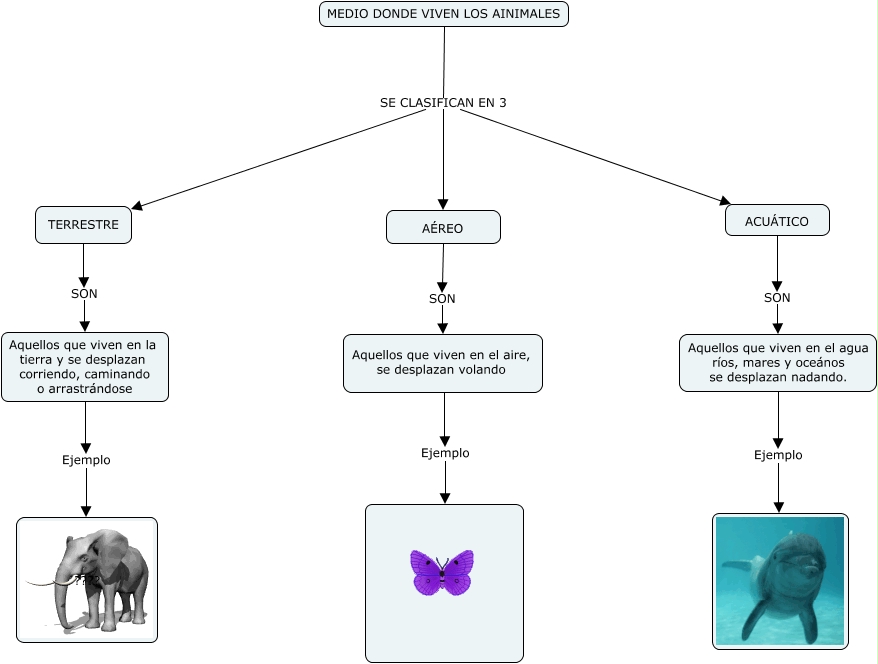 Mapa conceptual Habitat animales