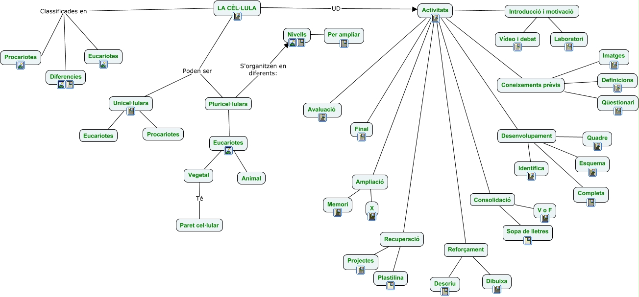 La cèl·lula i activitats
