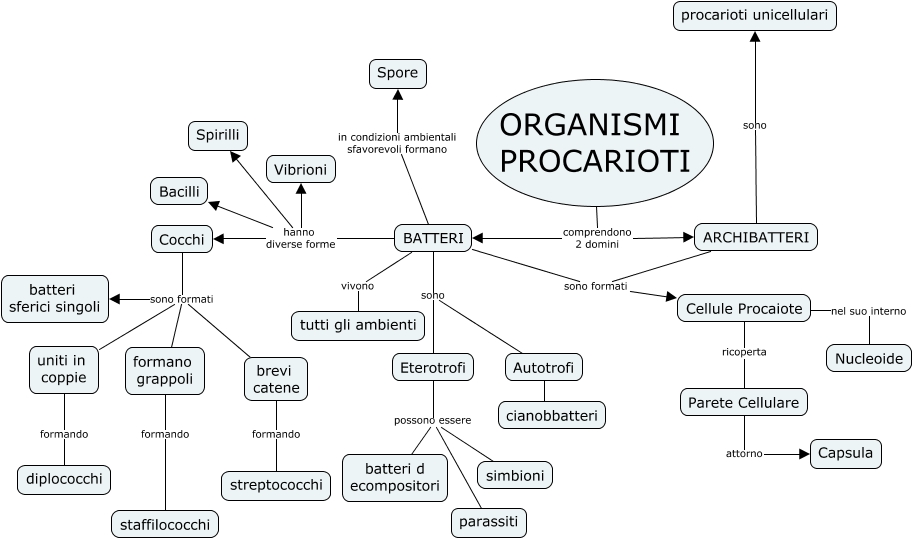 ORGANISMI PROCARIOTI