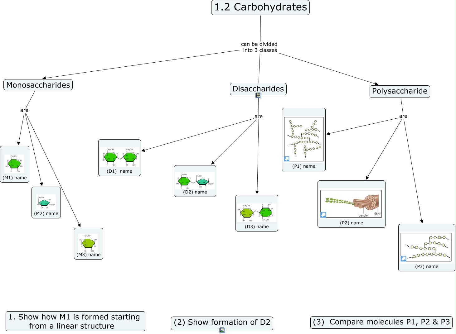 carbohydrates_guided_quiz