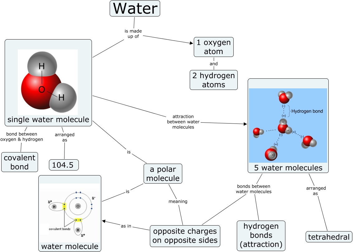 water_practical - molecules_of_life